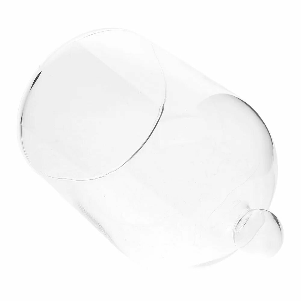 Стабилизированные цветы, 10.48 см, 135.92 гр