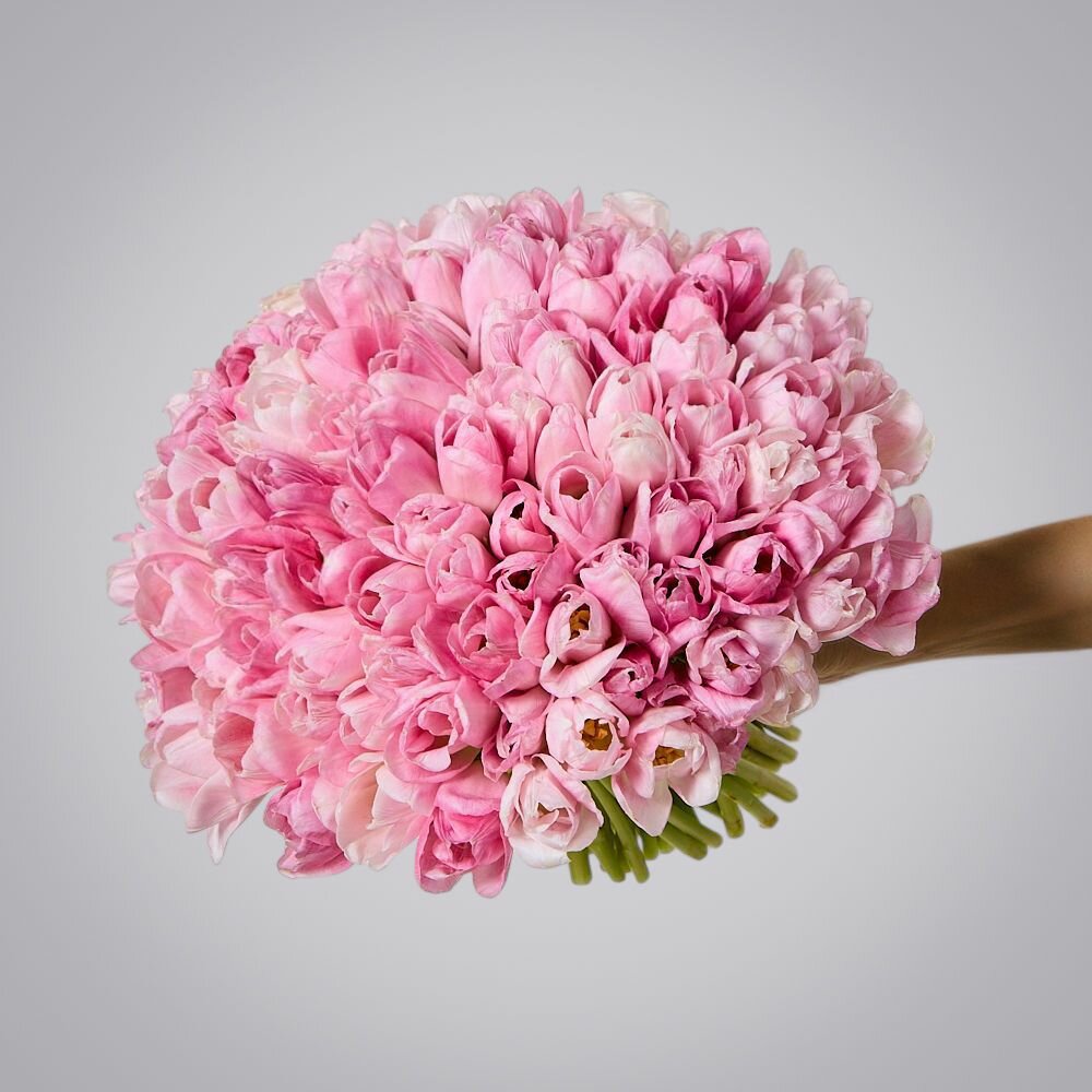 Монобукет 101 розовый тюльпан под ленту