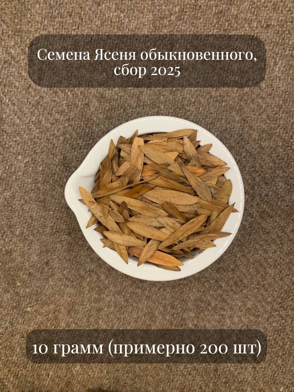 Семена Ясеня обыкновенного, или высокого, медонос, 10 грамм (примерно 200 шт)