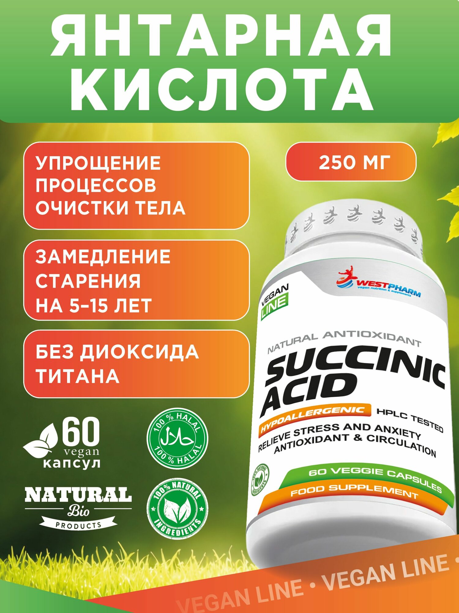Vegan line Succinic Acid / Янтарная кислота, 60 капсул