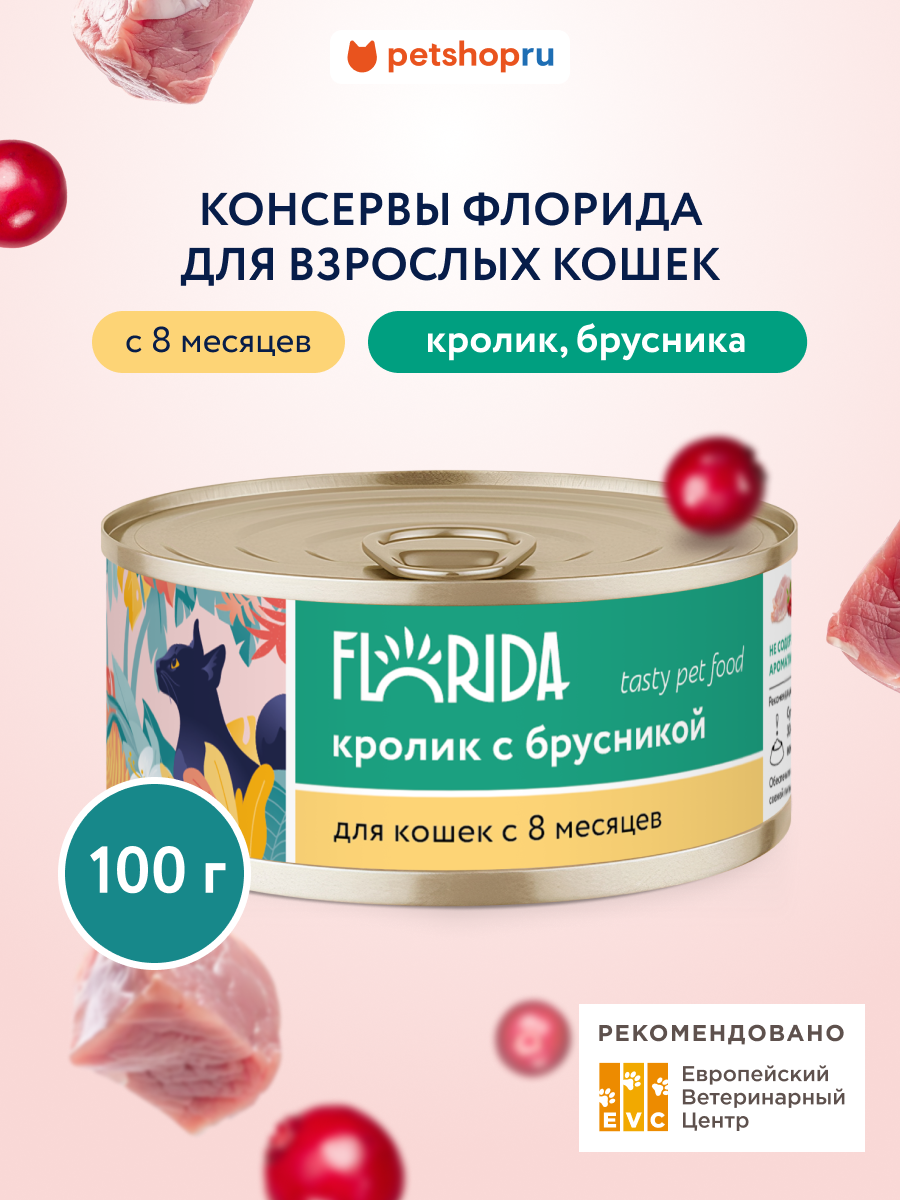 FLORIDA Консервы для кошек, кролик с брусникой, 1 шт, влажный корм, 100 г