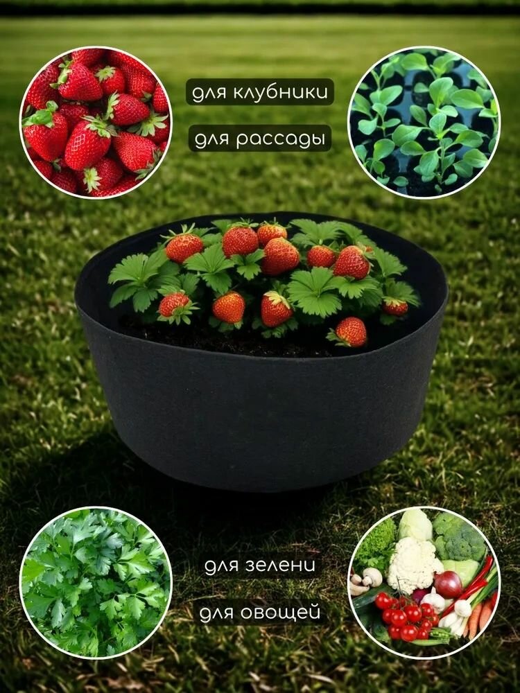 Грядка — фото 1
