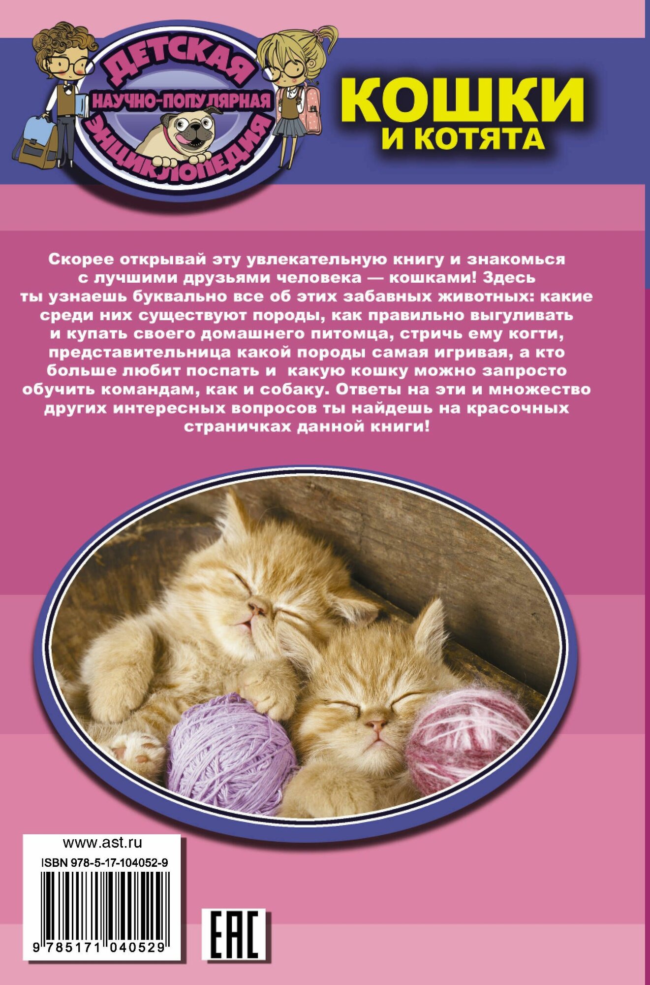 Кошки и котята — фото 1