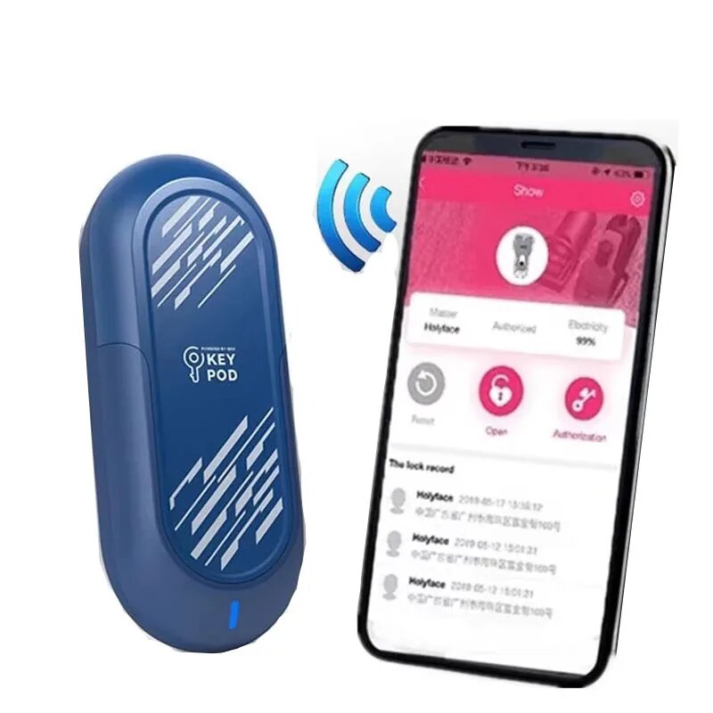 QIUI Key Pod Chastity Cage Key Box APP Remote Lock Outdoor Intelligent Control Cock Cages Accessories Male Chastity Belt Device