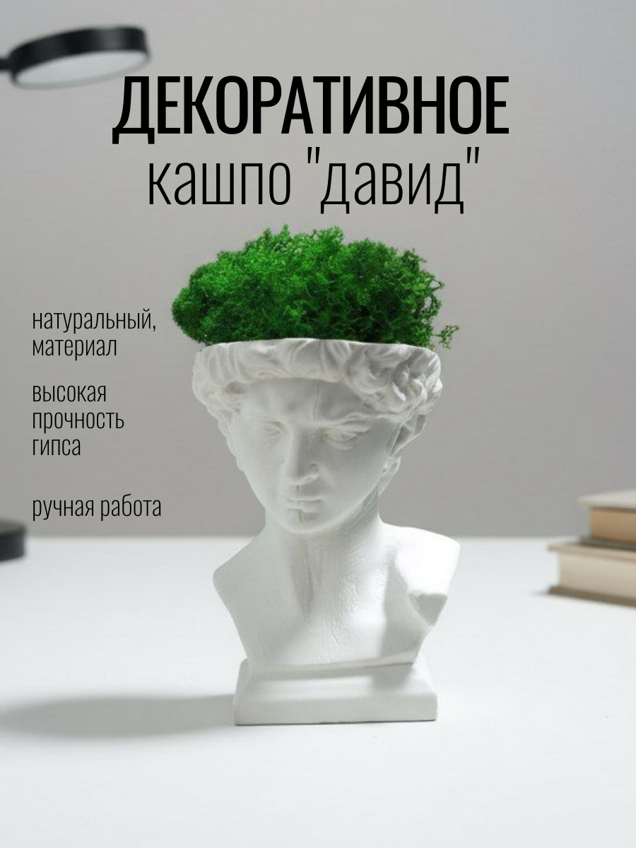 Декоративное кашпо со стабилизированным мхом "Давид", 10x7 см
