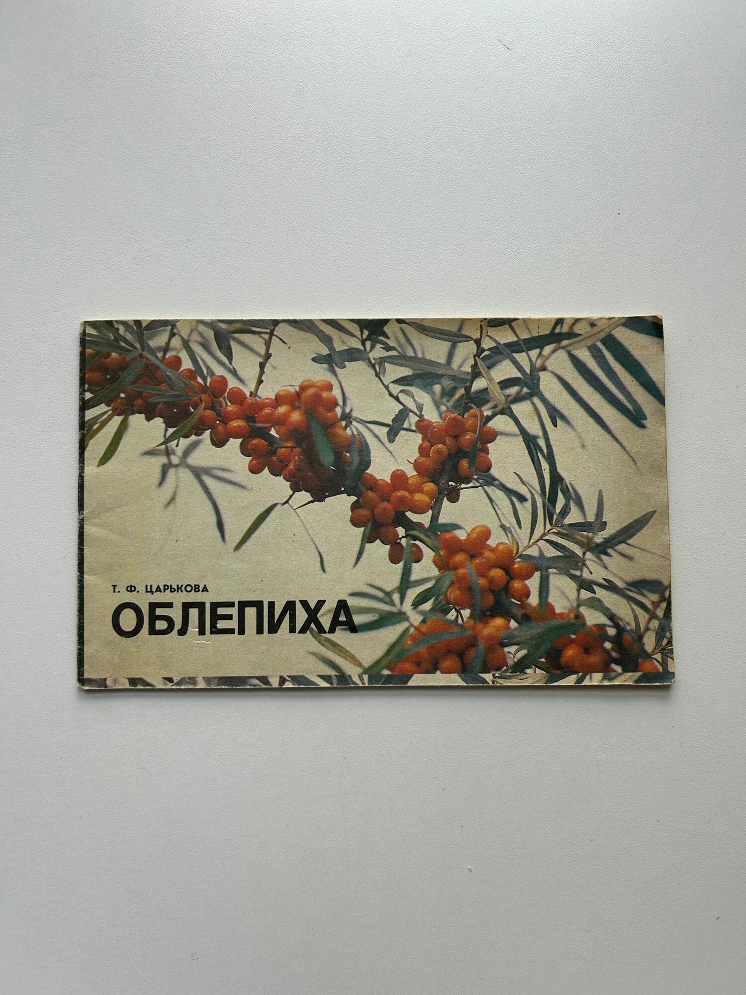Книга Облепиха. Издание 1987 года