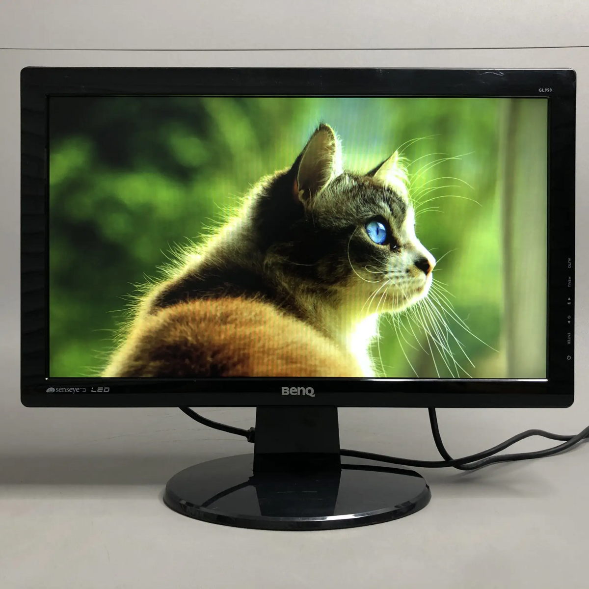 18.5" Монитор BenQ GL950A, 1366x768, TN+film, черный