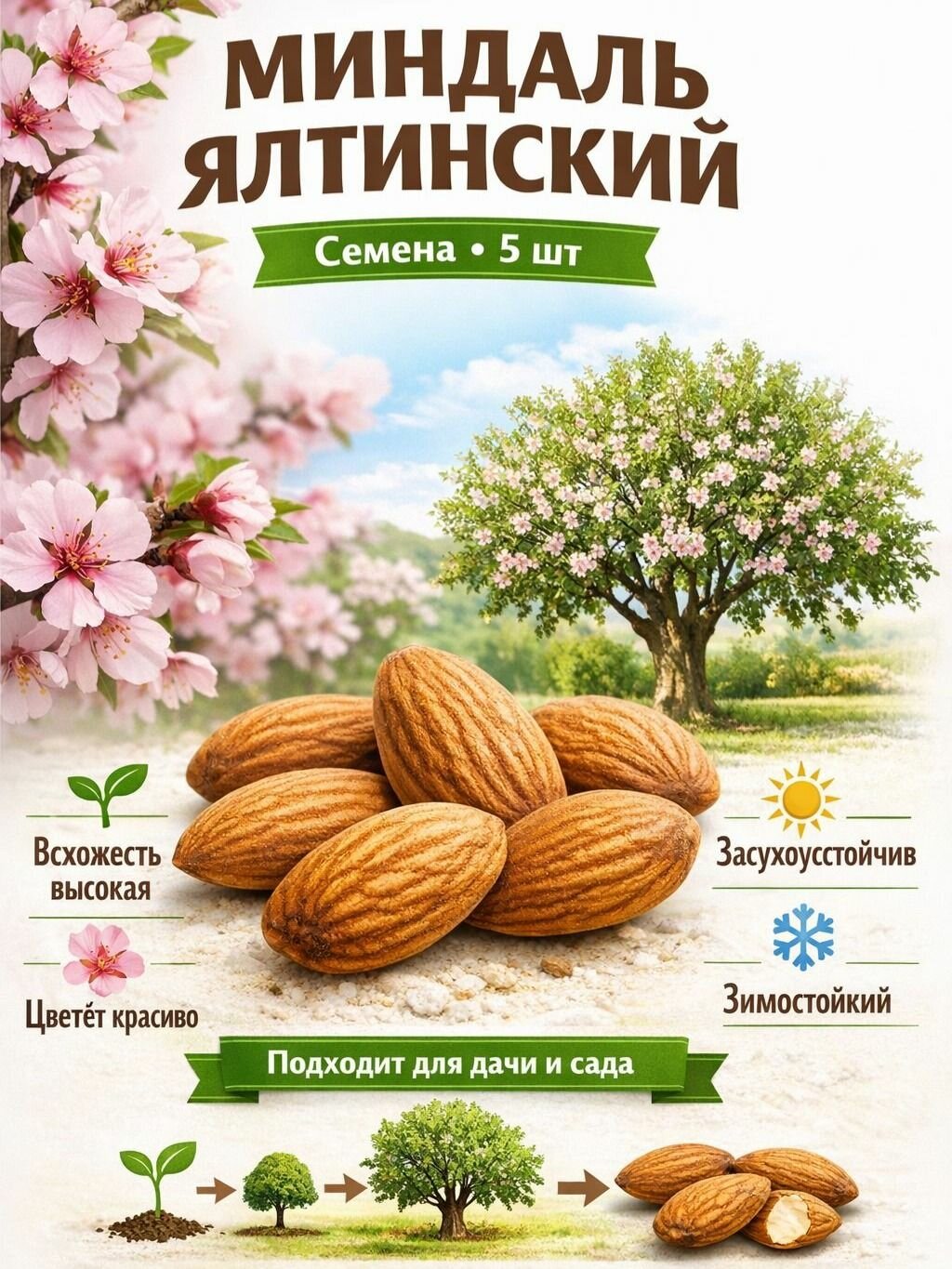 Миндаль ялтинский семена 5 шт