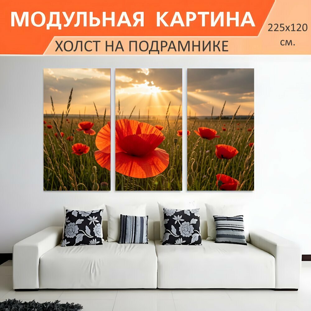 Модульная картина на холсте "Маки в поле на закате. Яркие алые цветы среди высокой травы под драматичным небом с золотыми лучами." триптих на подрамнике 225х120 см. для интерьера