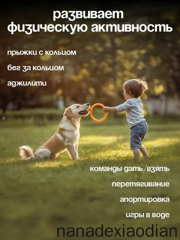 Кольцо-пуллер для собак, 29 см, игрушка для собак — фото 1
