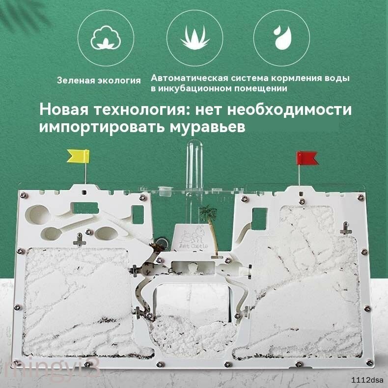 Муравьиная ферма — фото 1