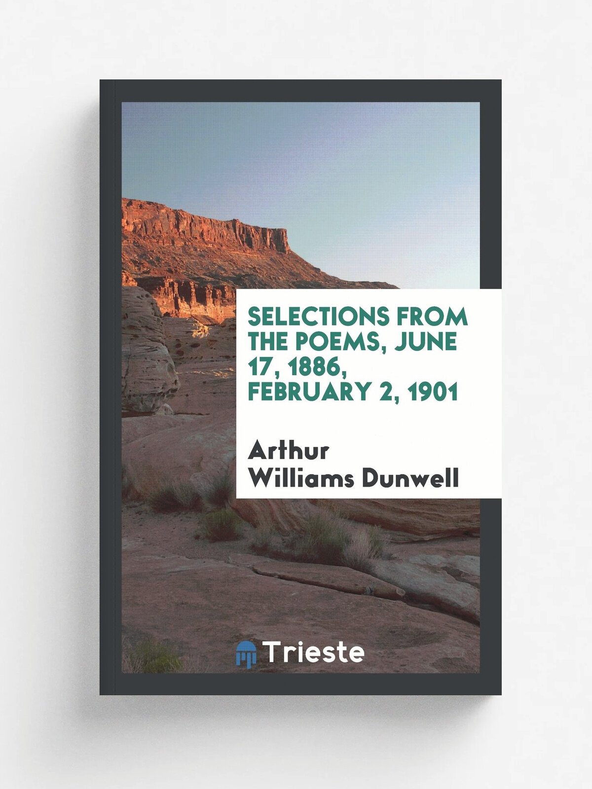 Selections from the Poems, June 17, 1886, February 2, 1901