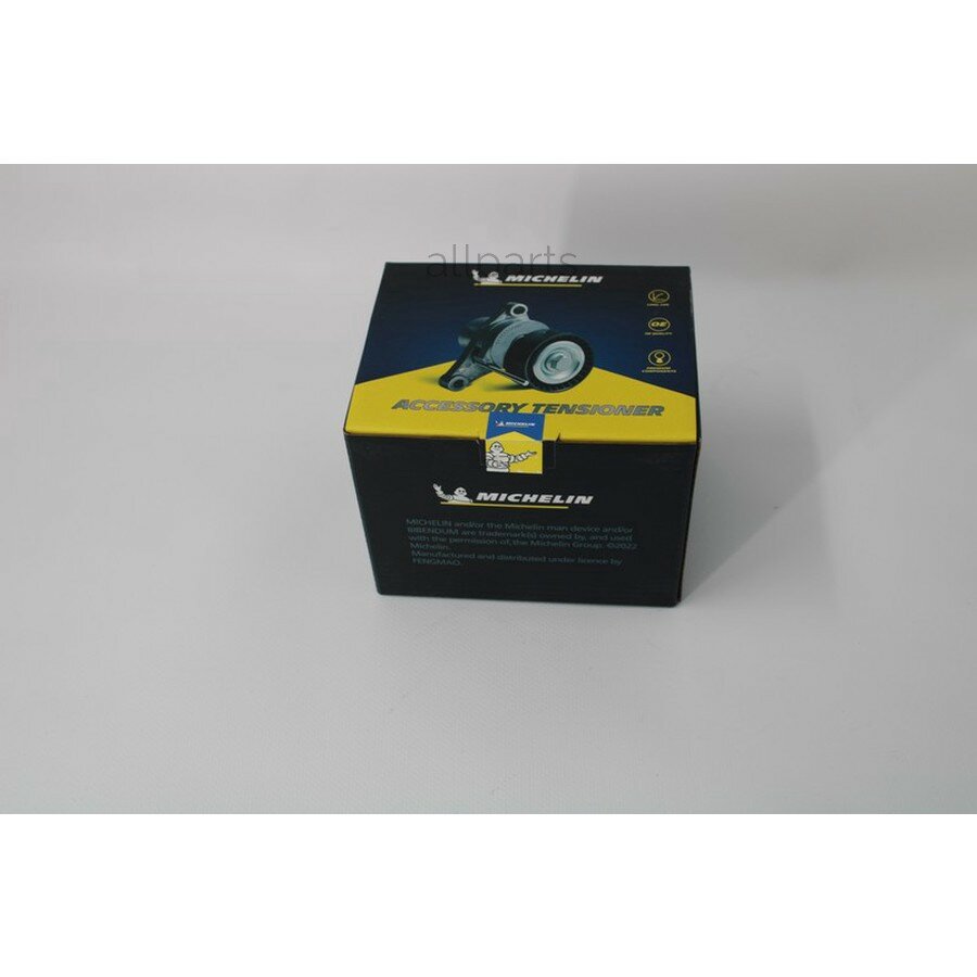 MICHELIN FMMT03724 Натяжитель ремня