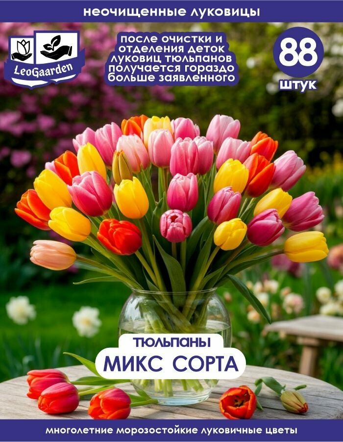 Тюльпан Луковицы неочищенные, Микс сортов, 88 шт