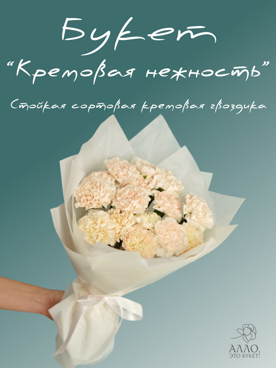 Монобукет «Кремовая Нежность» из стойкой сортовой гвоздики кремового цвета, 15 шт, в упаковке