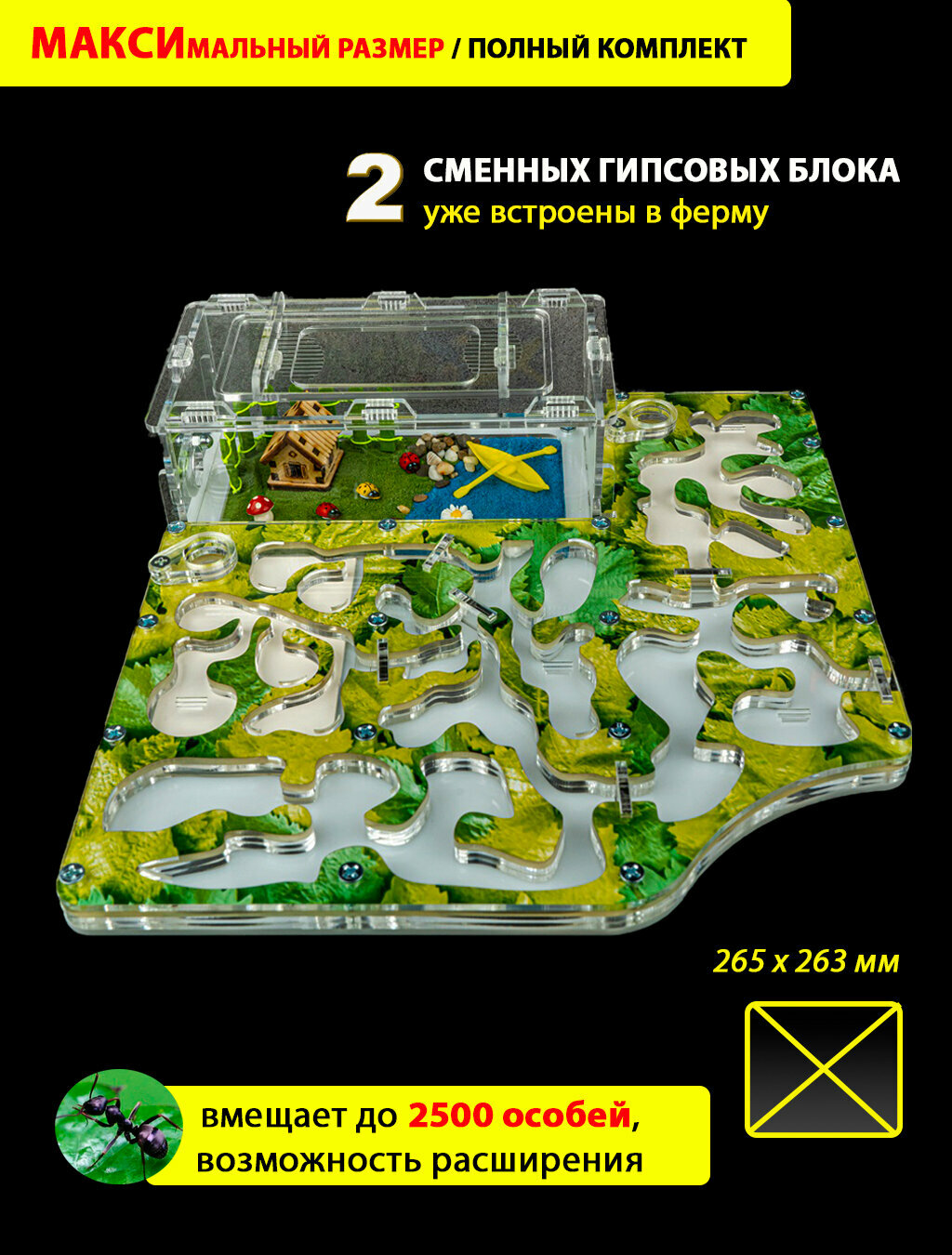 Муравьиная ферма (формикарий) макси AntFarmsNsk