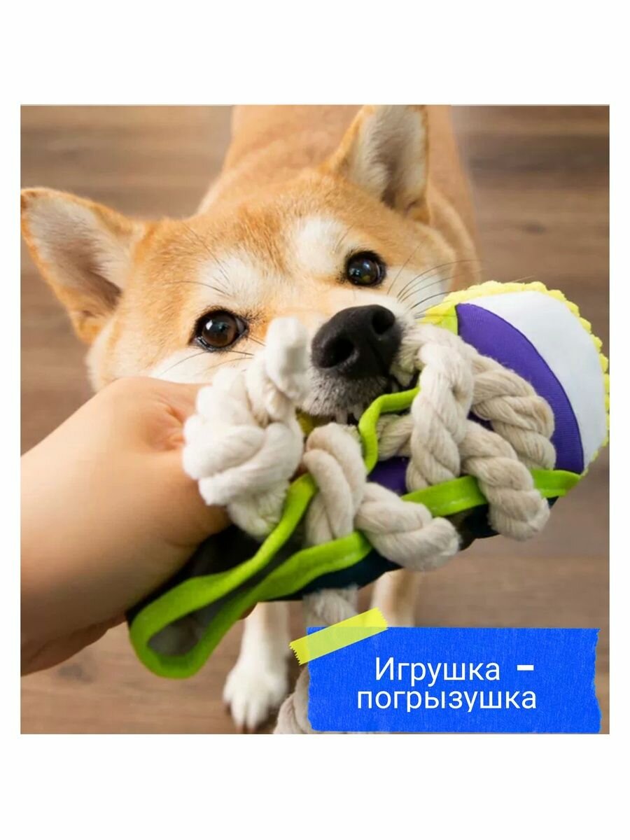 Игрушка тапок кед для щенков и собак мелких и средних пород / тапок