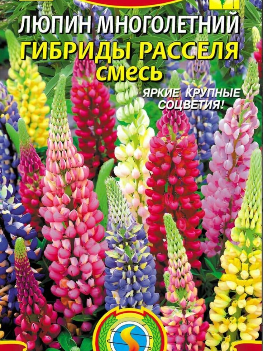 Люпин Расселя смесь многолетний гибрид 0,45 г, Плазменные семена