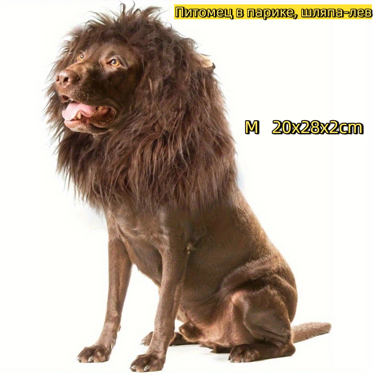 Забавный львиный капюшон с ушами Шляпа с ушами Король джунглей капюшон