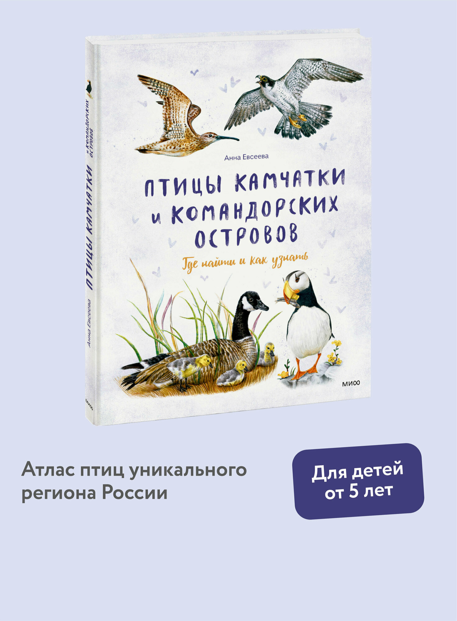 Анна Евсеева. Птицы Камчатки и Командорских островов. Где найти и как узнать