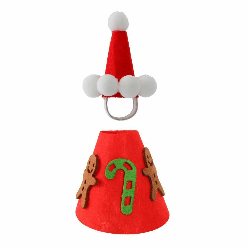 Рождественский костюм гуся на крыльце