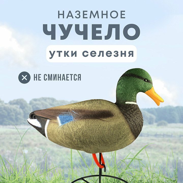 Taigan Mallard подсадная утка кряква селезень на стальном основании для охоты