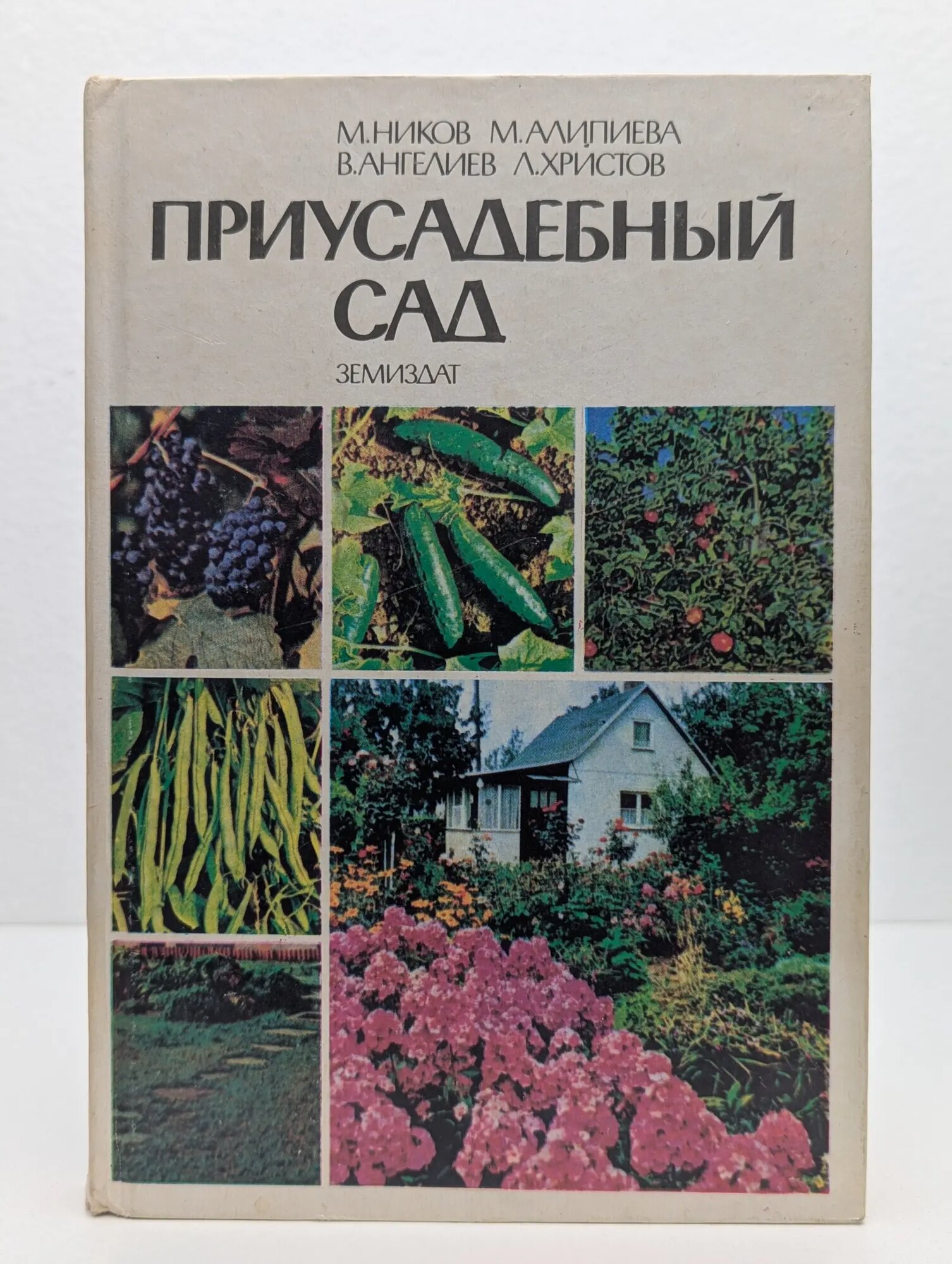 Приусадебный сад Алипиева Минка, Ангелиев Васил, Христов Лулчо 1987