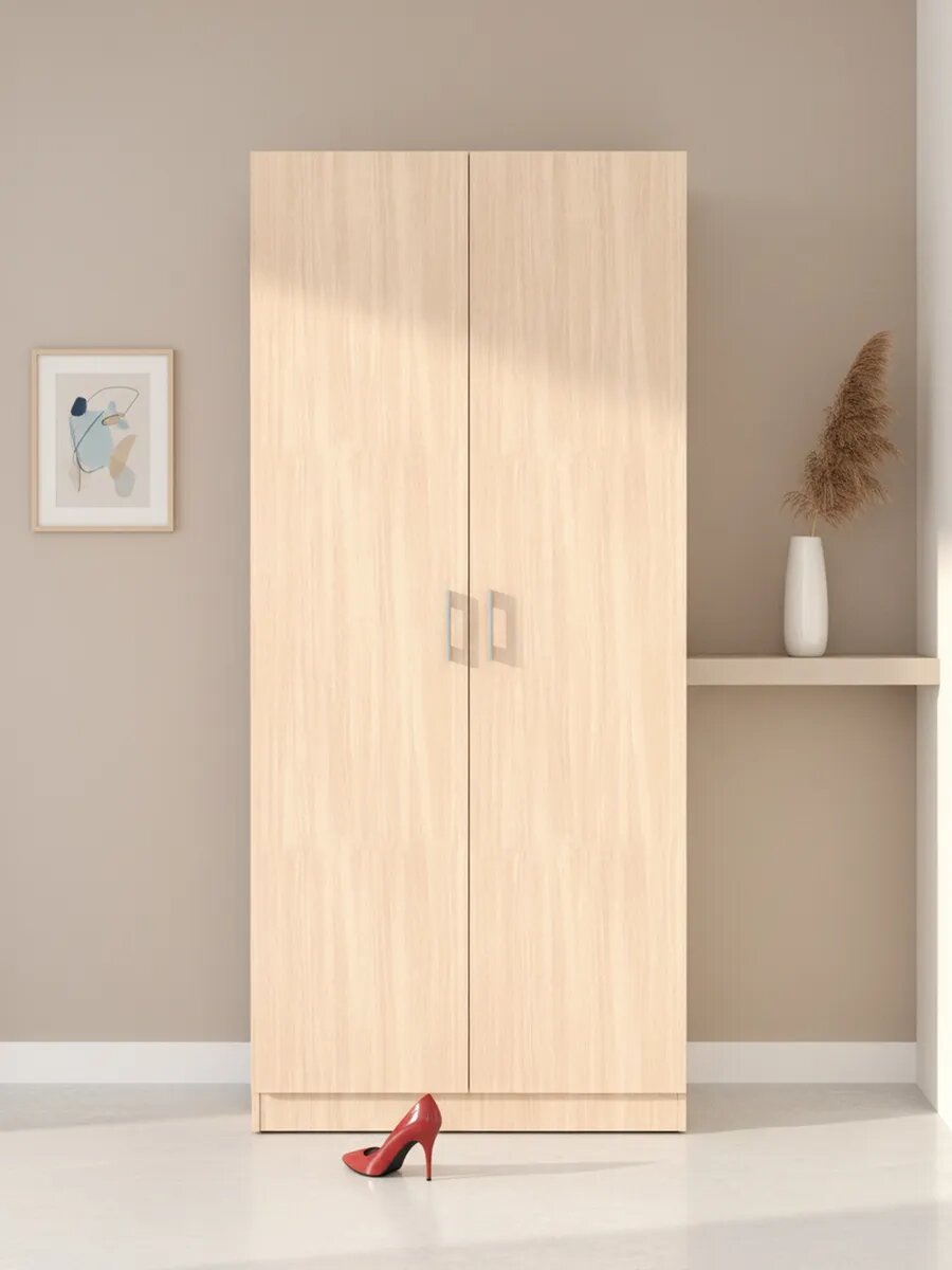 Распашной шкаф FRESTER для одежды с полками в прихожую и балкон, от производителя