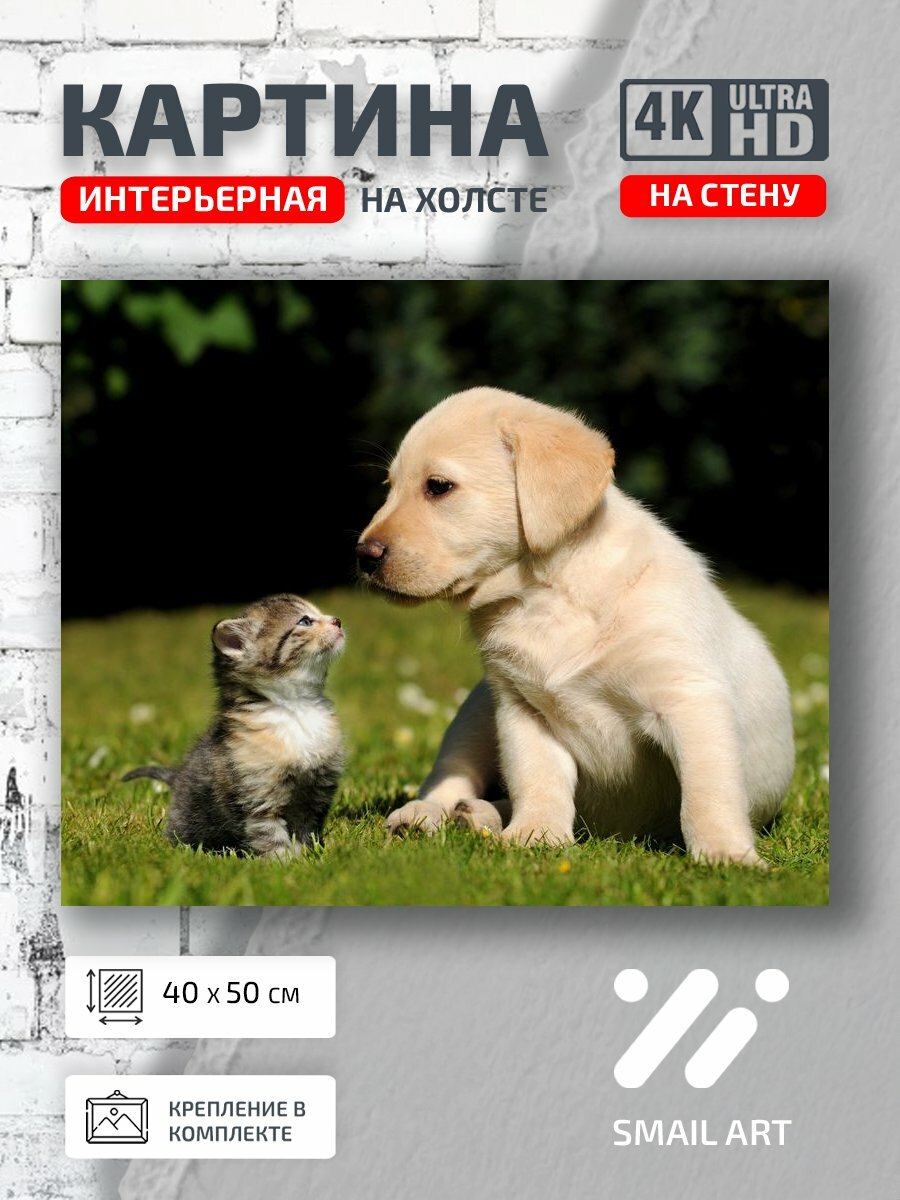 Картина на холсте интерьерная 40 на 50 на стену Траве Animal для кабинета animal style