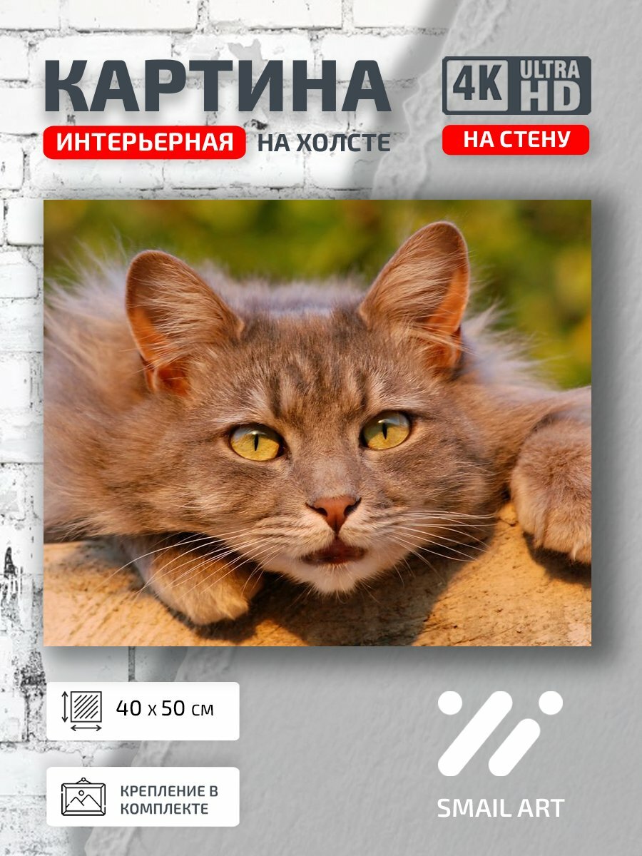 Картина на холсте интерьерная 40 на 50 на стену Бревне Animal для кафе animal style декор