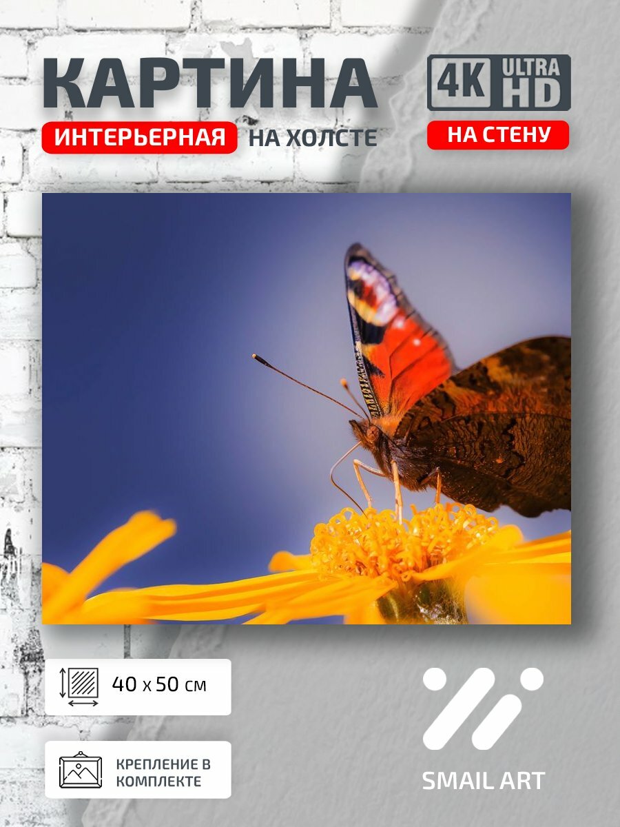 Картина на холсте интерьерная 40 на 50 на стену Цветке Macro для кабинета макро интерьер