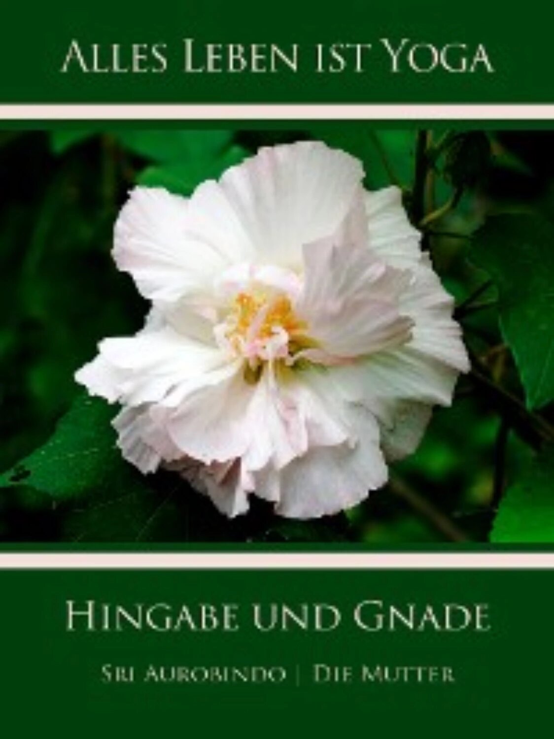 Hingabe und Gnade [Цифровая книга]