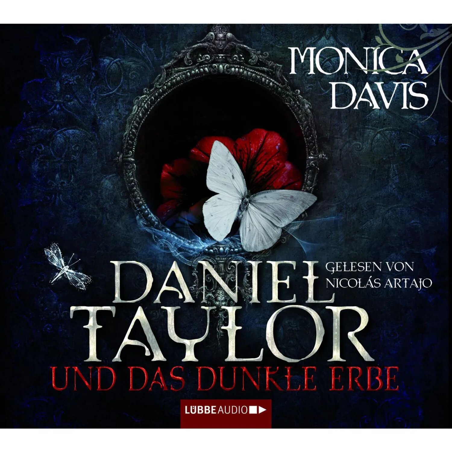 Daniel Taylor und das dunkle Erbe [Аудиокнига]