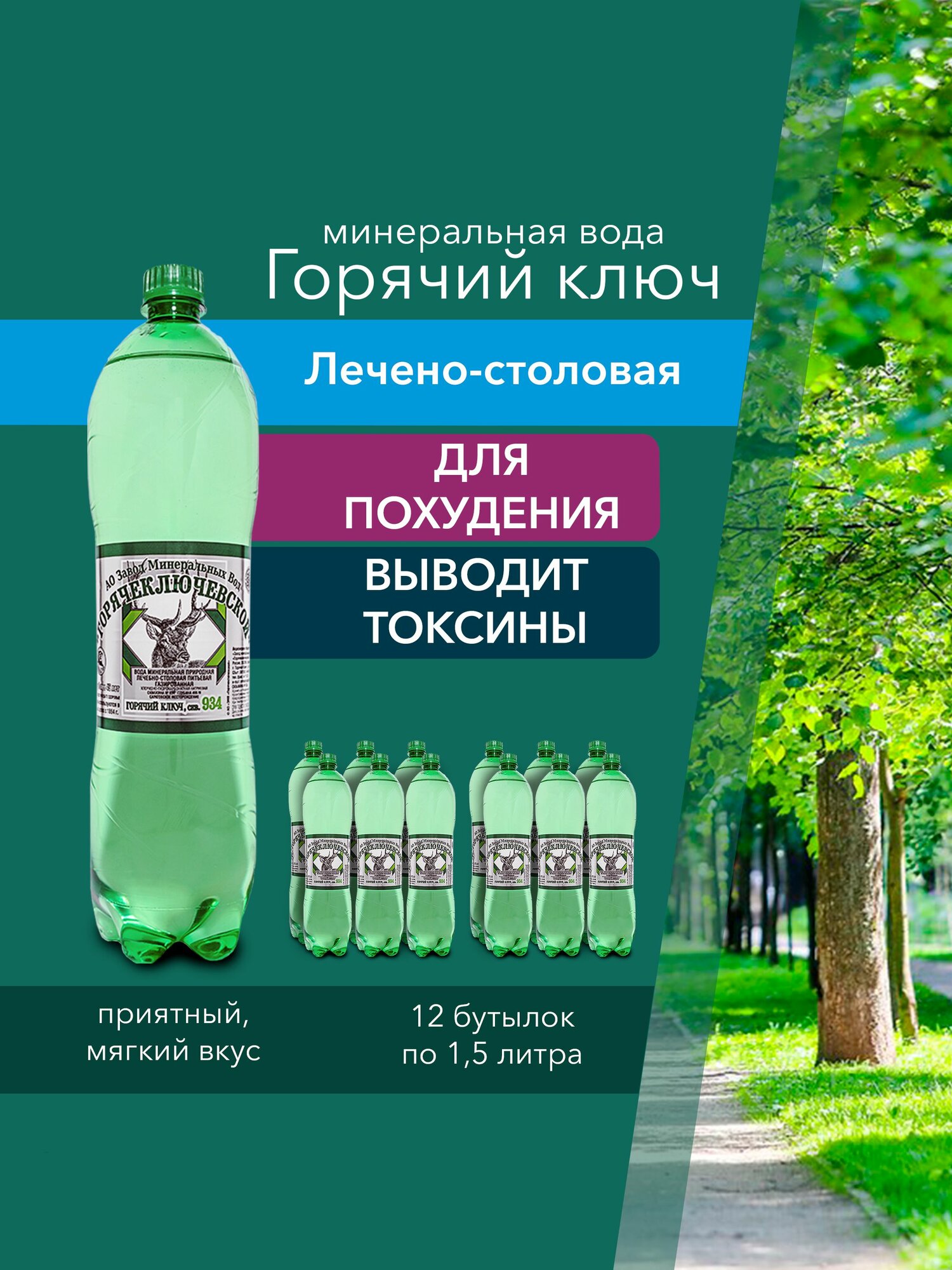Вода Горячий Ключ Лечебно-столовая. Объем 1.5л*12. Вода минеральная газированная природная лечебная, выводит токсины,