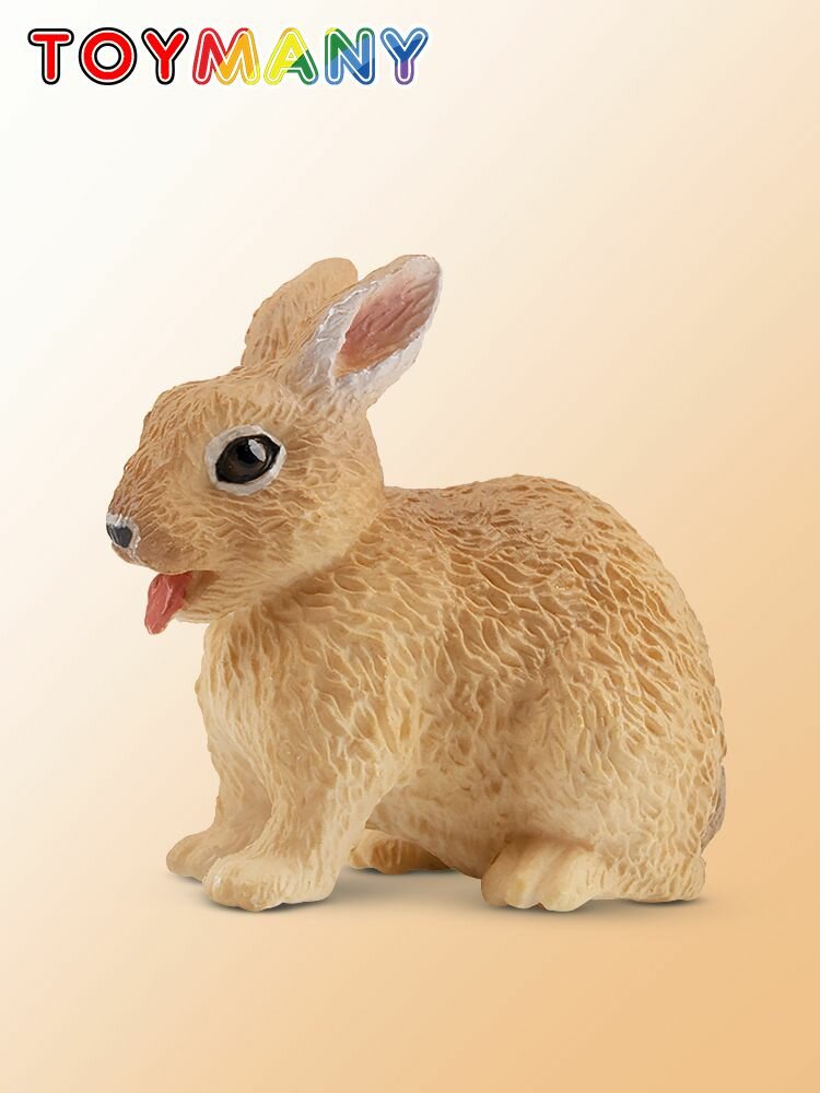 Toymany фигурка животное, Нидерландский карликовый кролик, детский подарок и коллекция фигурка кролика коллекционная игрушка для детей