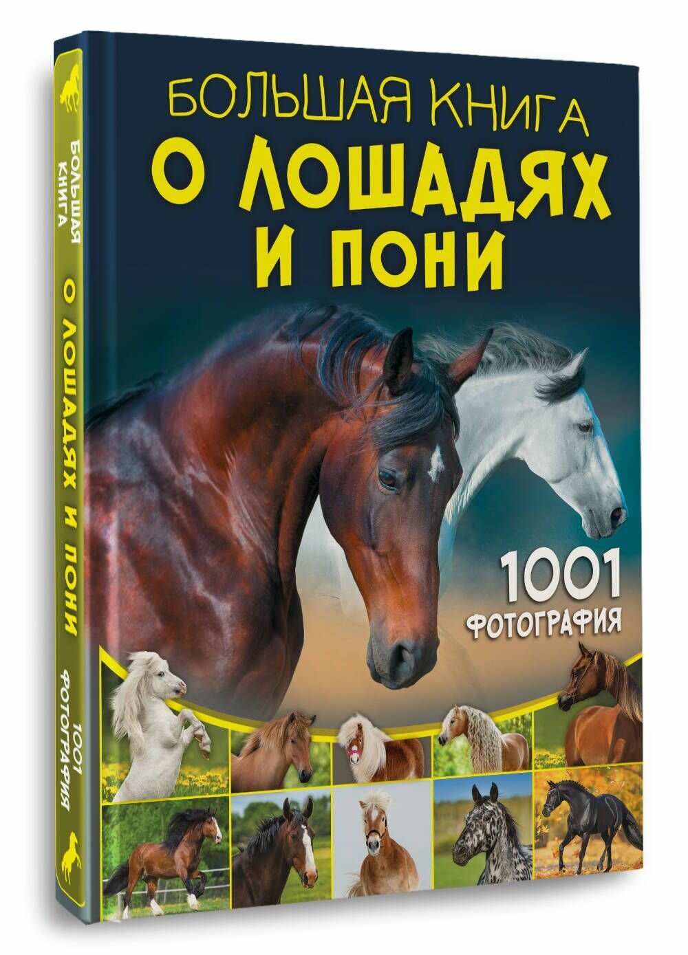 Большая книга о лошадях и пони. 1001 фотография