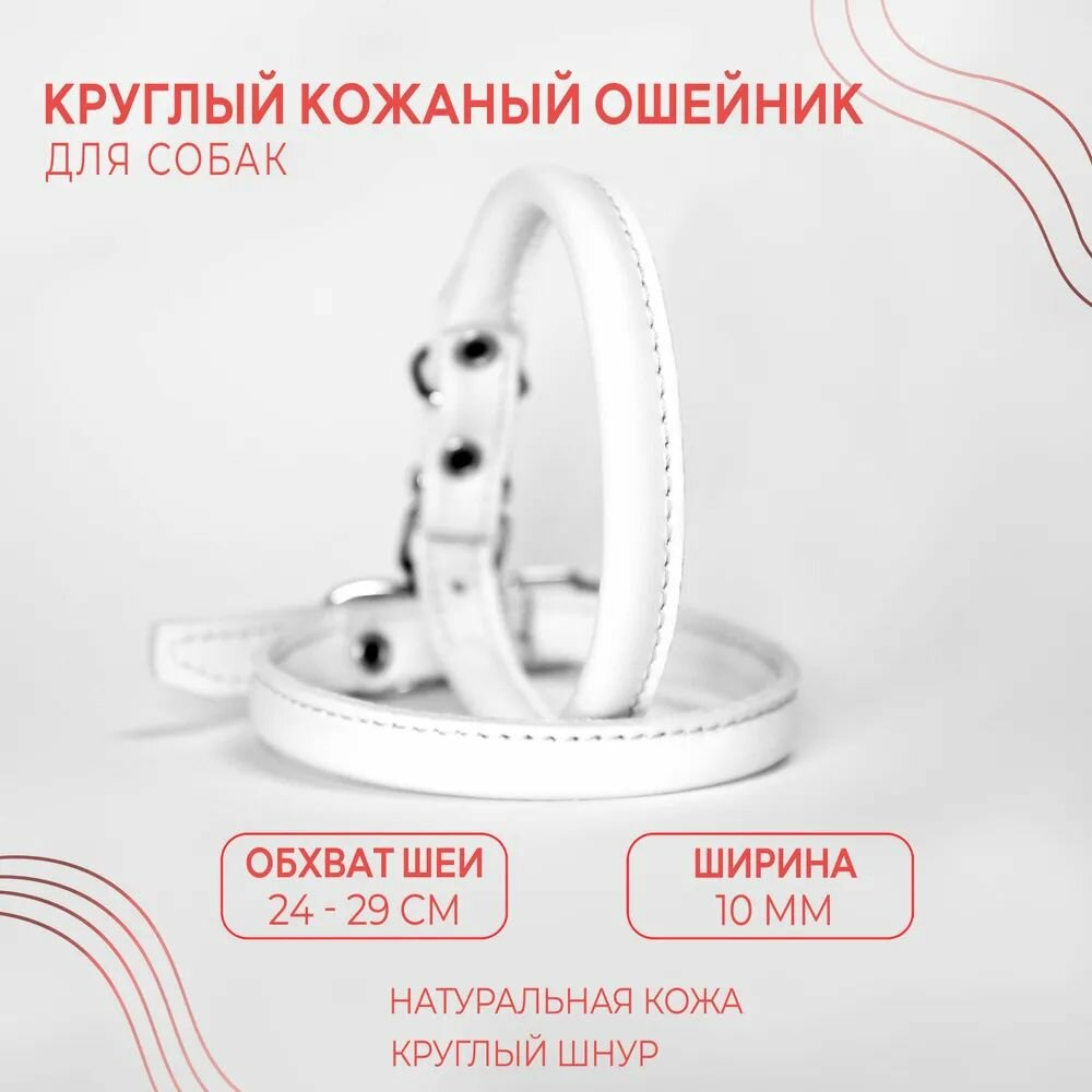 Круглый кожаный ошейник (обхват шеи 24-29 см.) для маленьких пород собак с пушистой шерстью / Белый