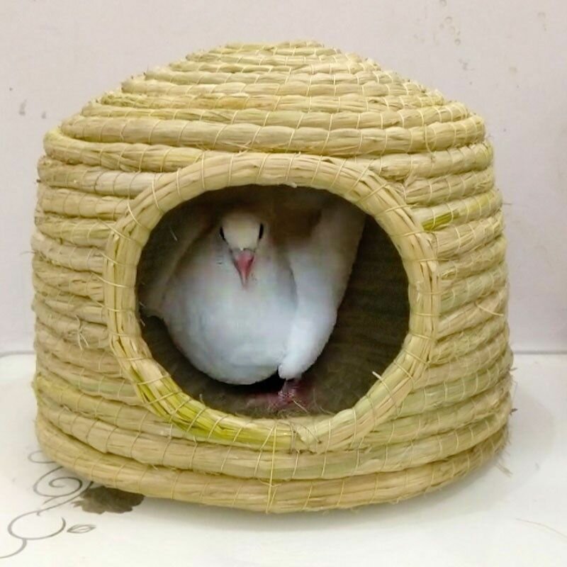 Соломенный плетеный курятник, гнездо для несушек, уличное птичье гнездо, травяное гнездо, гнездо для кроликов, теплое гнездо для морских свинок, использование для кроликов, голубей и перепелов