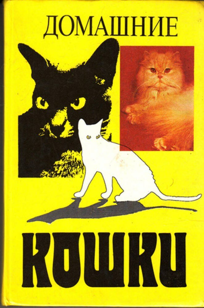 Домашние кошки - 1991