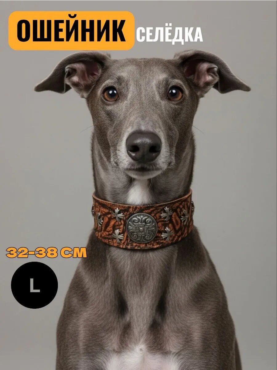 Dogbond ошейник-селедка для малых и средних пород