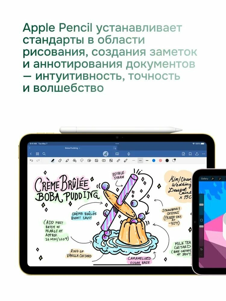 Apple Pencil Pro Стилус для Apple iPad — фото 1