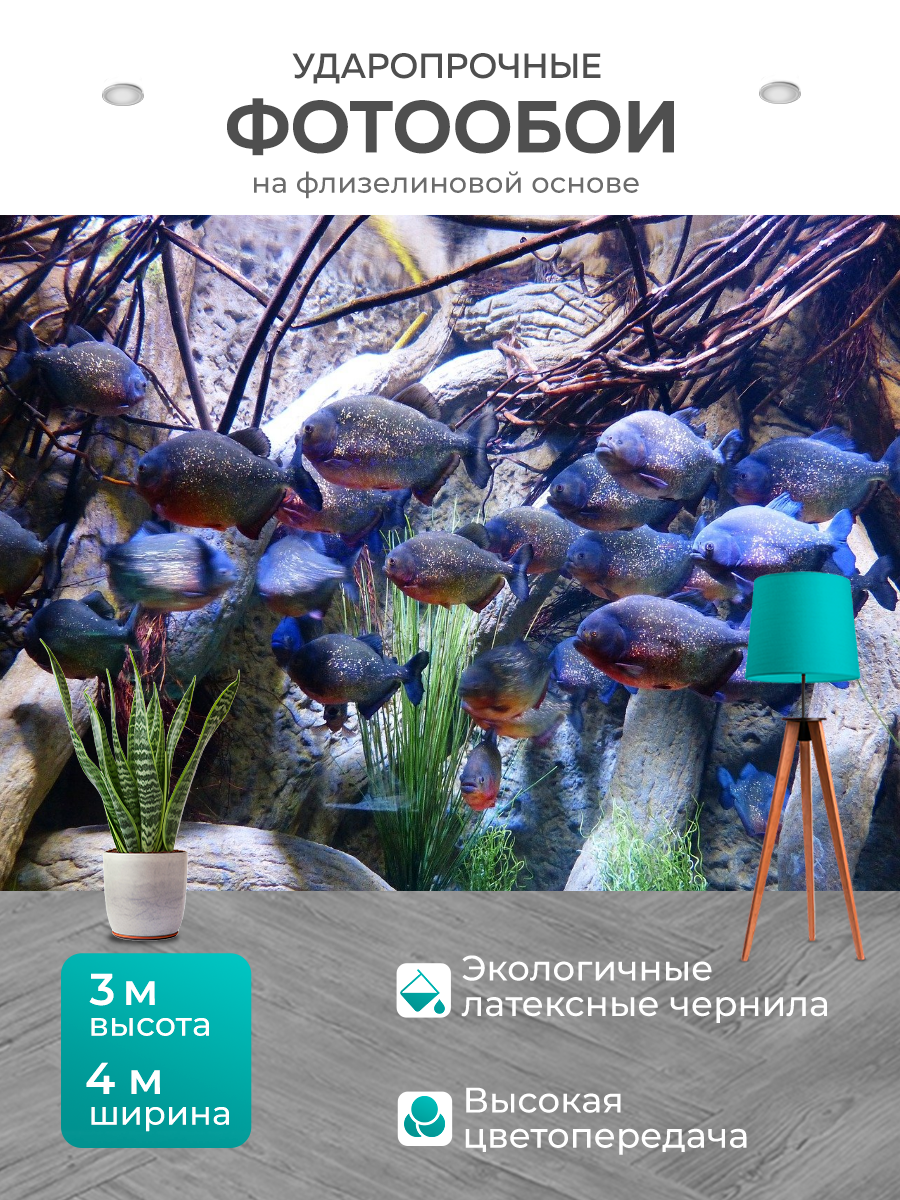 Фотообои моющиеся ударопрочные "Пираньи, рыбы, аквариум" 400x300 см. флизелиновые на стену
