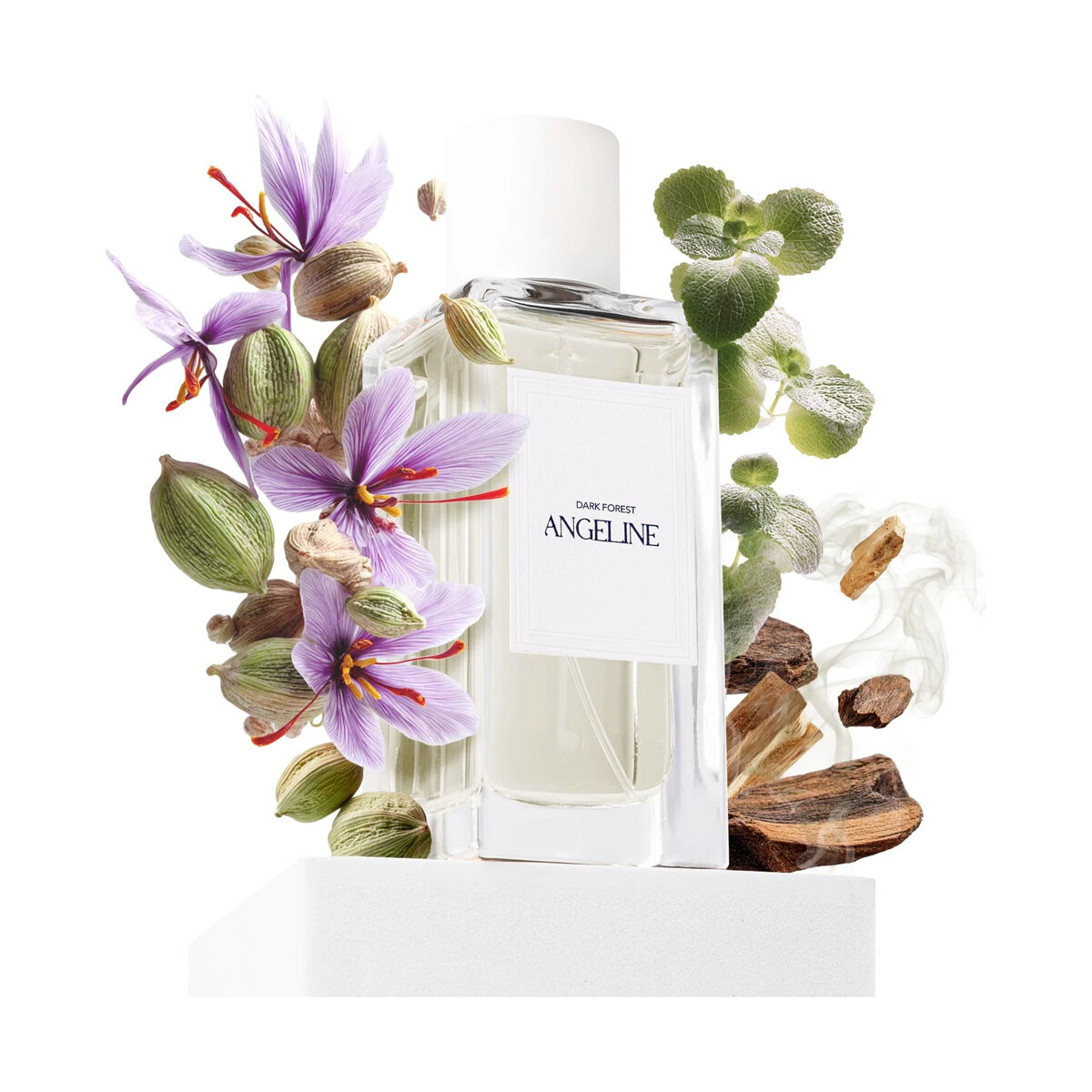 Парфюмерная вода Angeline "Dark Forest", мужская, 100 мл, Испания