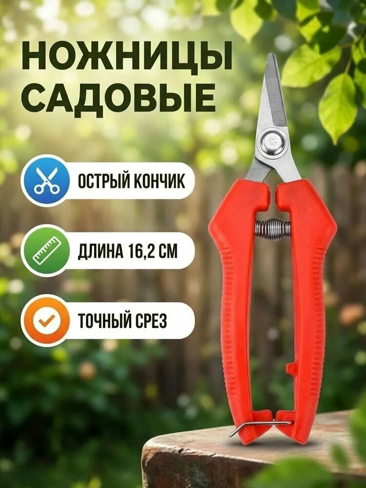 Сучкорез
