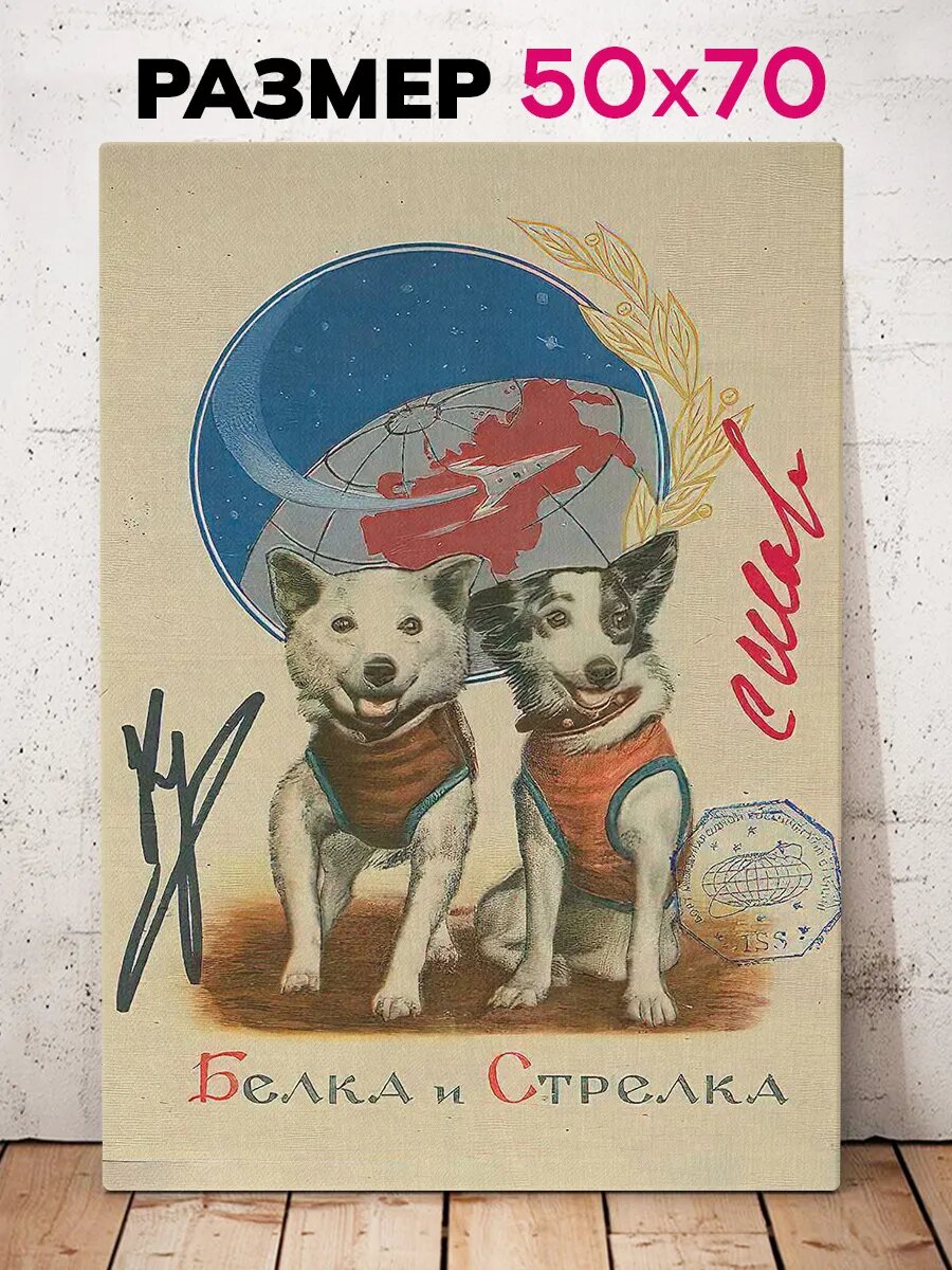 Картина на стену для дома Белка и Стрелка 50х70 см