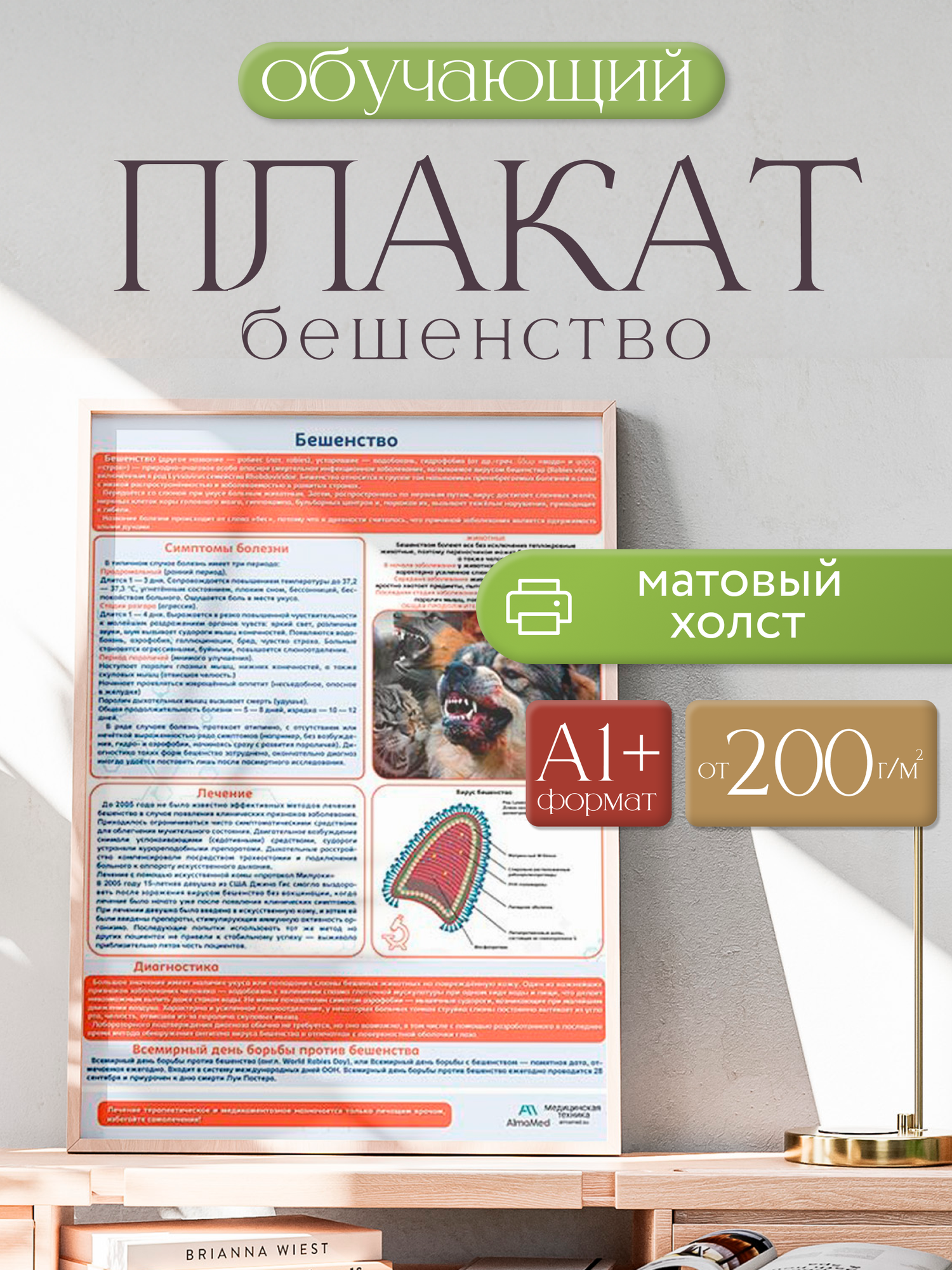 Бешенство медицинский плакат матовый холст от 200 г/кв. м, размер A1+