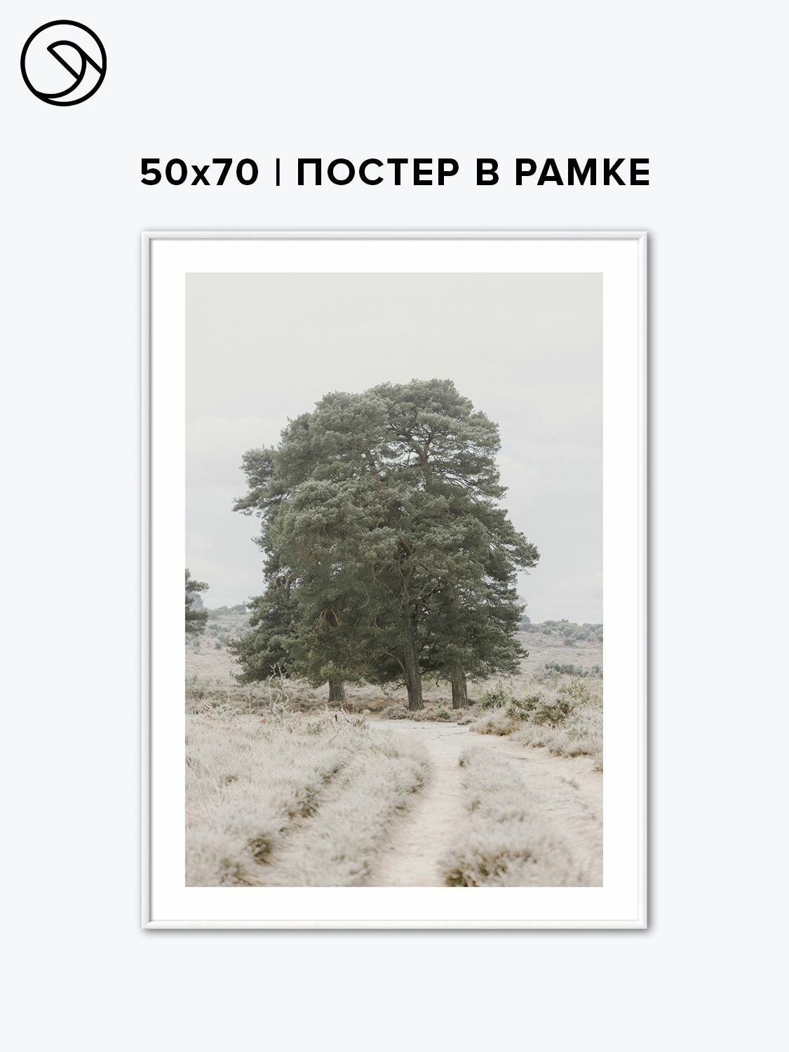 Постер в рамке 50х70 Postermarkt Дорога к Дереву