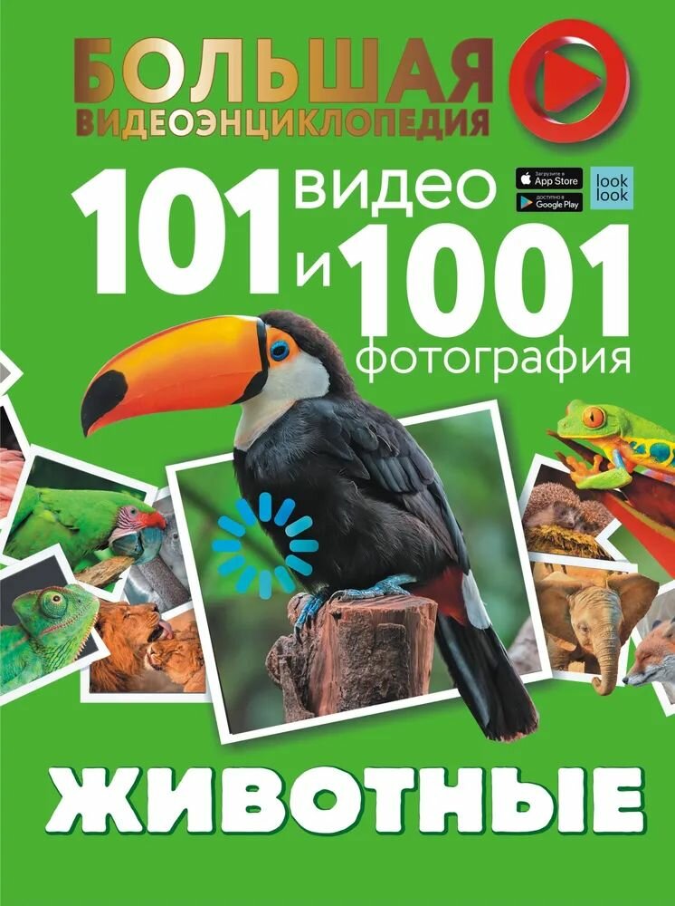 Большая видеоэнциклопедия. Животные. 101 видео и 1001 фотография.