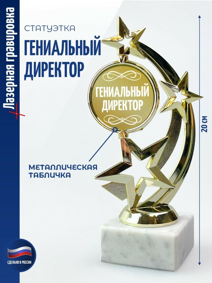 Статуэтка Звезда "Гениальный директор" (19,5 см)