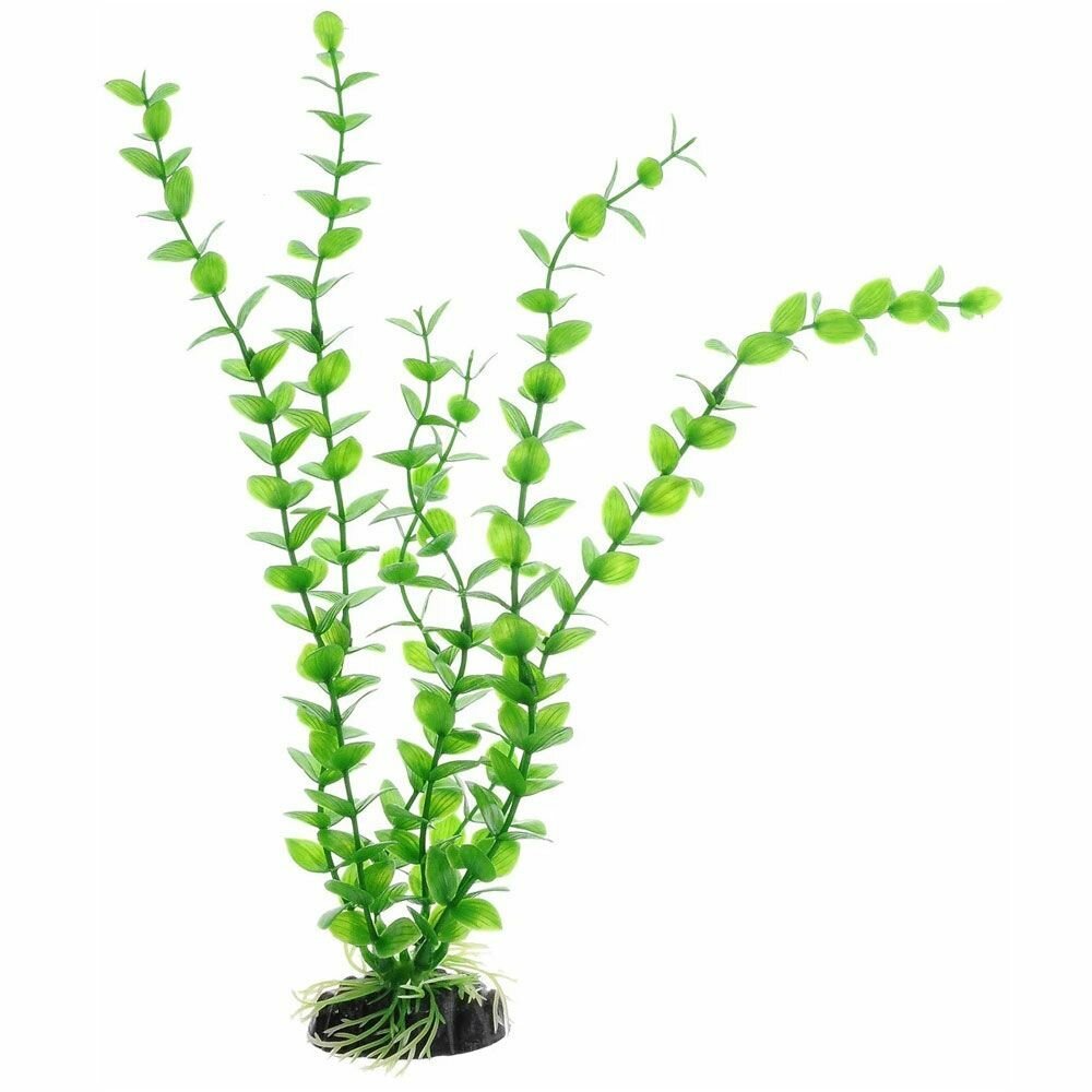 Растение для аквариума искуственное Barbus Plant 010 Бакопа зеленая 30см